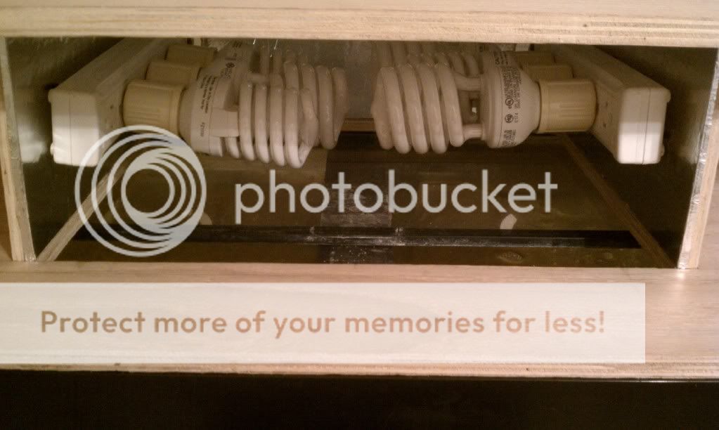 Show me your DIY CFL fixtures! | The Planted Tank Forum