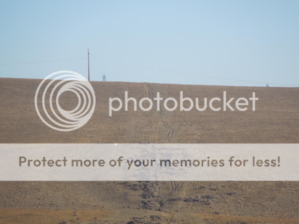 Show us your LR Targets... - AR15.COM